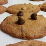 The Seven Righteous Fights: Overview by Heidi Waterhouse